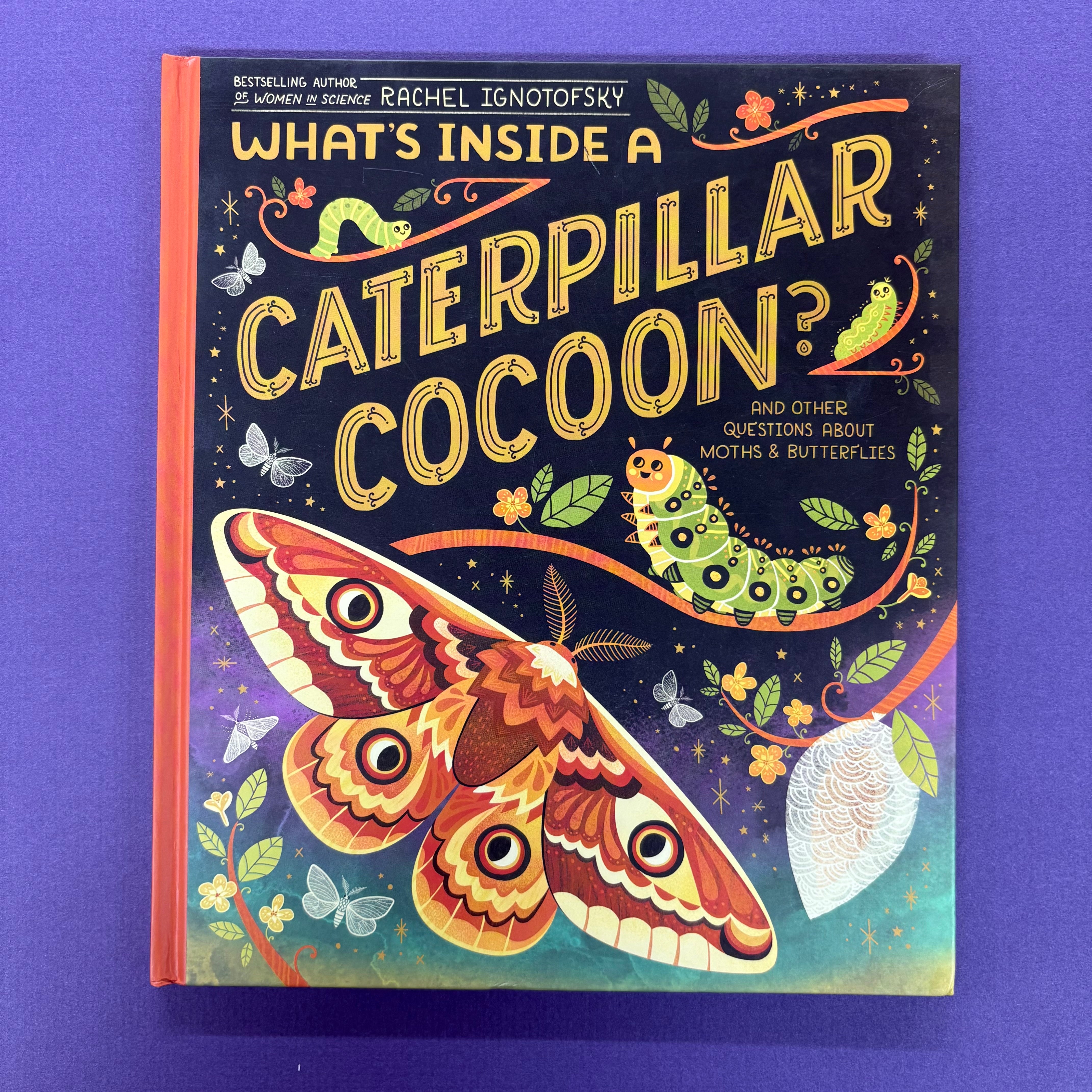 What's Inside A Caterpillar Cocoon? - Rachel Ignotofsky - BKBY – Frames Etc